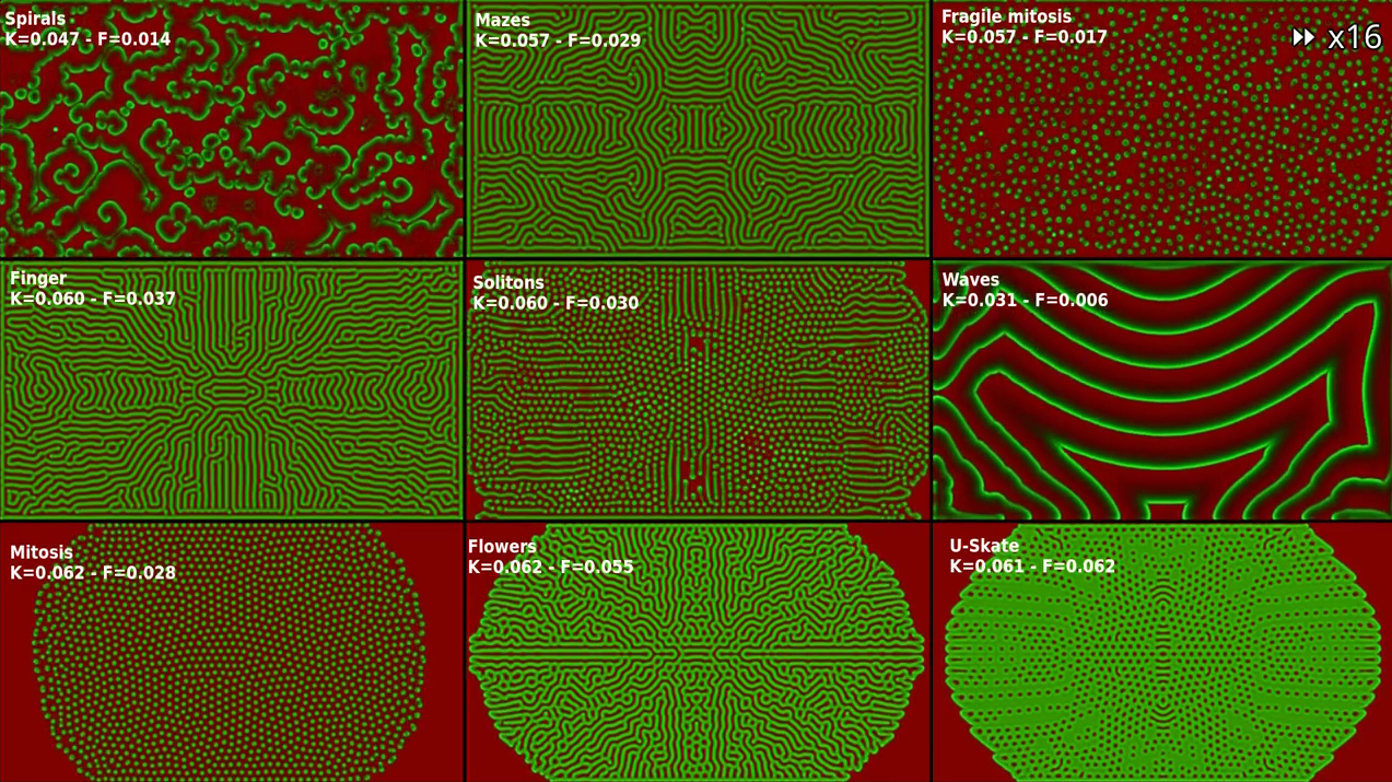 Mitosis in the Gray-Scott Model - Website Hunt